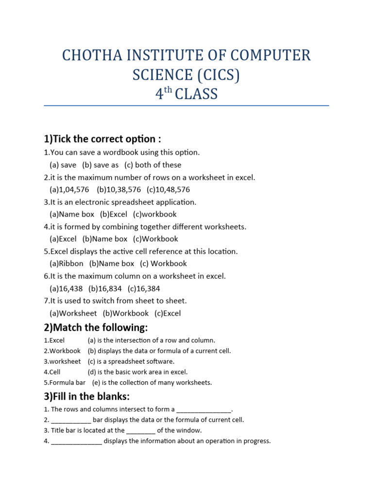Chotha Institute of Computer Science | PDF | Microsoft Excel | Worksheet