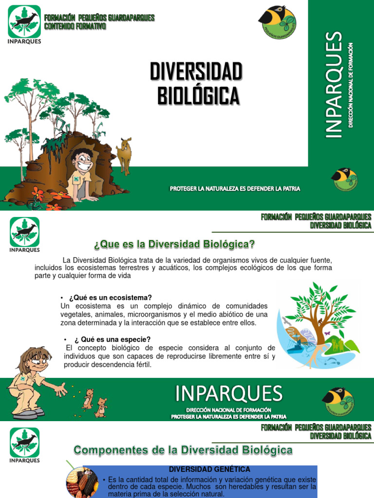 6pgp Diversidad Biológica | PDF | Biodiversidad | Ecosistema