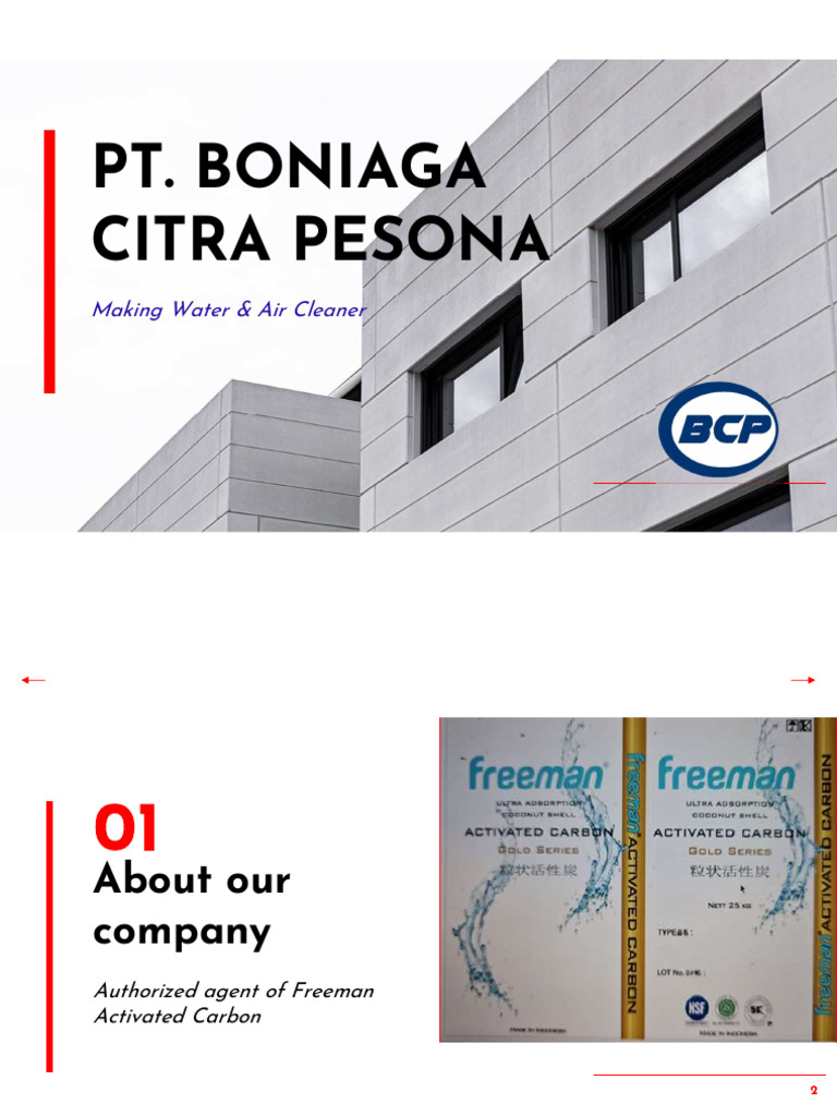 BCP Profile Ac | PDF | Chemical Engineering | Industrial Processes