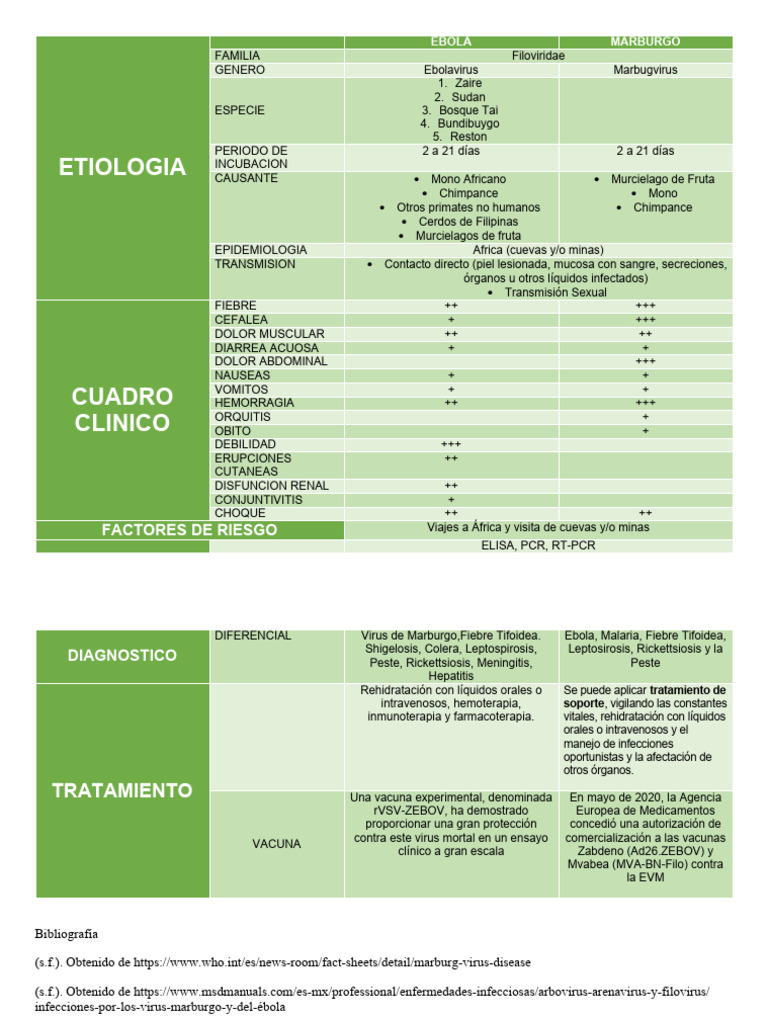 Ebola y Marburgo | PDF | Medicina CLINICA | Enfermedades y trastornos