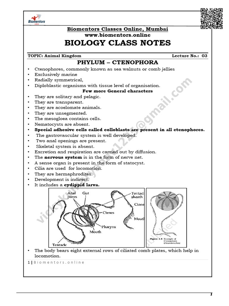 Animal Kingdom Lecture - 3 Notes | PDF | Nematode | Biology