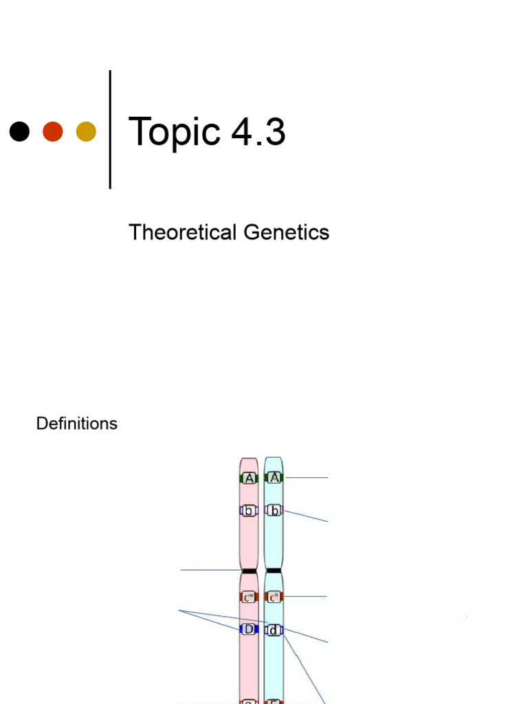 Topic 4.3 Theoretical Genetics | PDF | Dominance (Genetics) | Genotype
