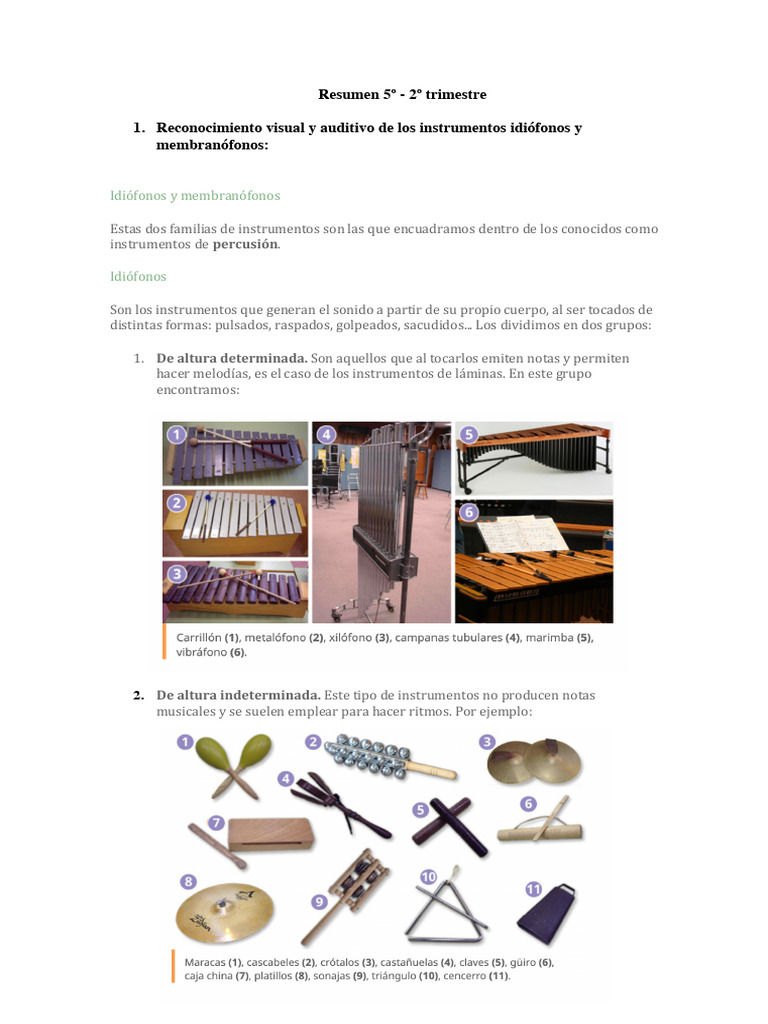 Instrumentos de Percusión y Tempo Musical | PDF | Arte