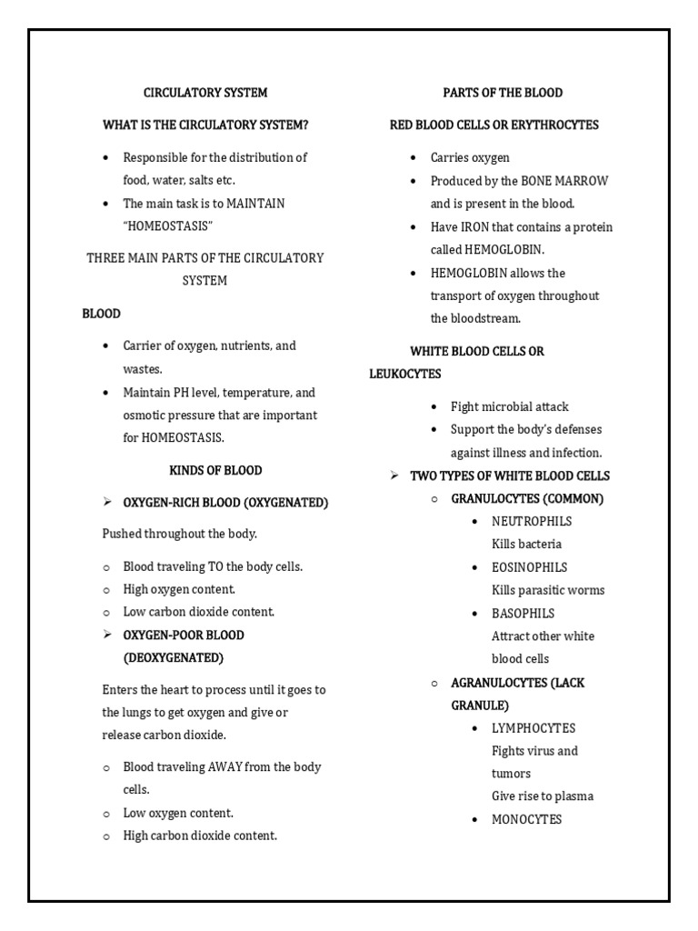 Circulatory System (Reviewer) | Download Free PDF | Heart Valve | Heart