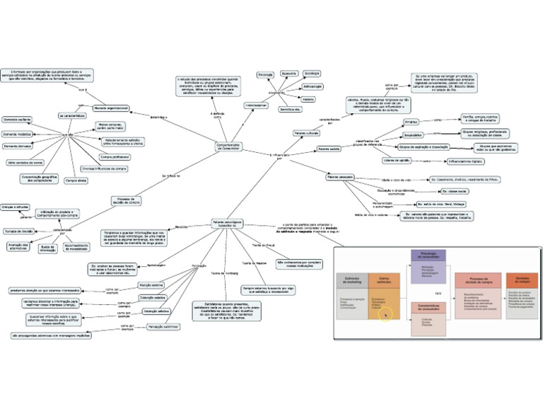 Comportamento Do Consumidor.cmap | PDF