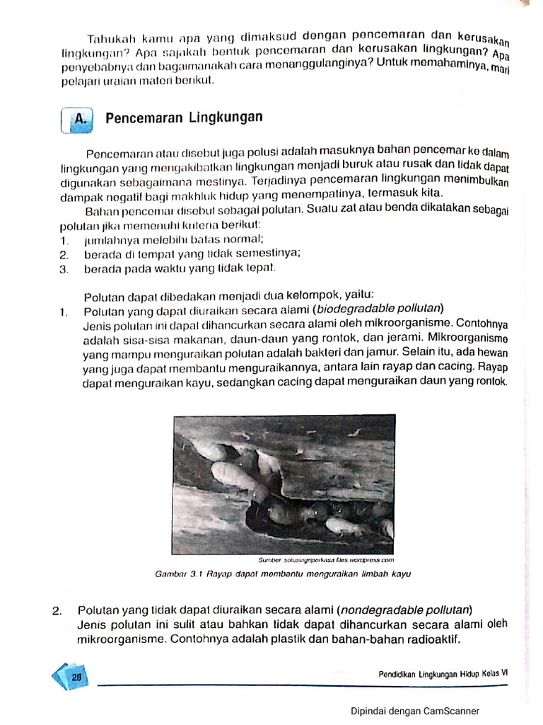 Materi PLH (Pencemaran Lingkungan) | PDF