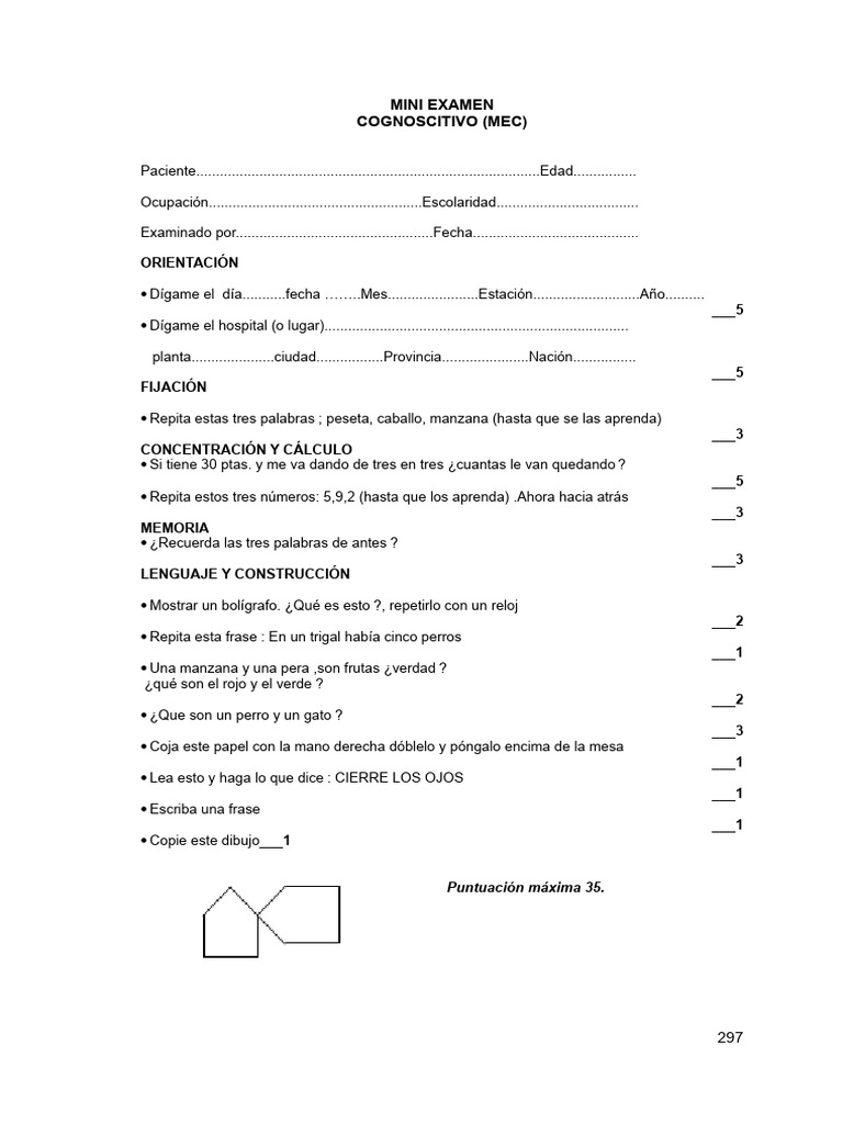 Mini Mental | PDF