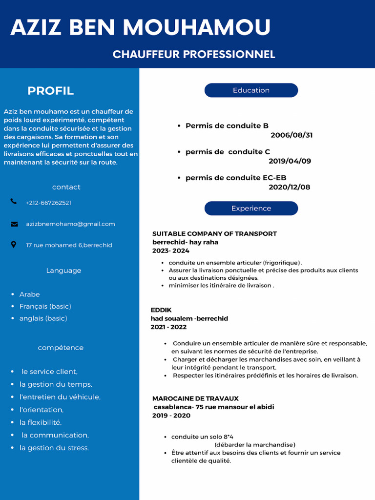 CV Aziz Ben Mouhamou | PDF