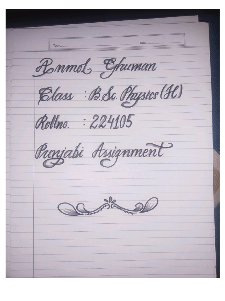 Punjabi Assignment | PDF