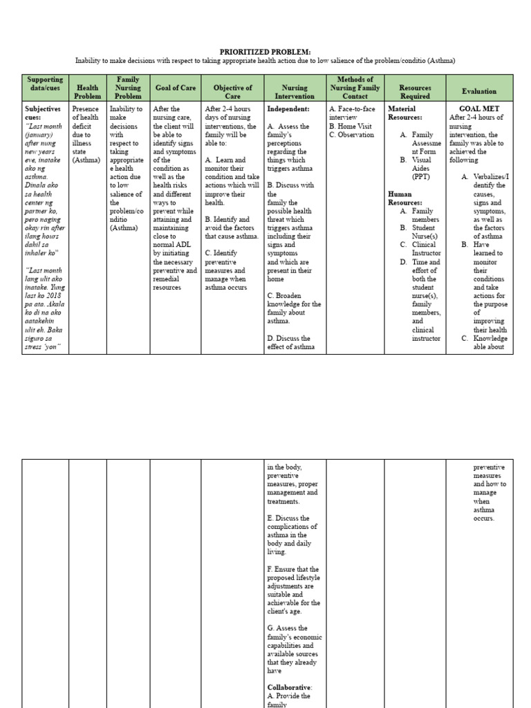 FNCP Ahito | PDF | Asthma | Nursing