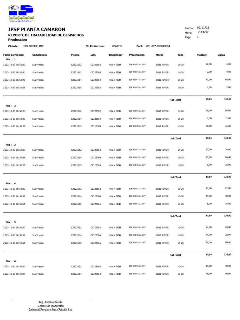 Hyn Proforma 507 | PDF