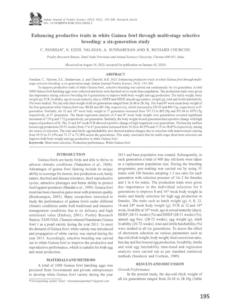 Enhancing Productive Traits in White Guinea Fowl Through Multi-Stage Selective Breeding: A Six ...
