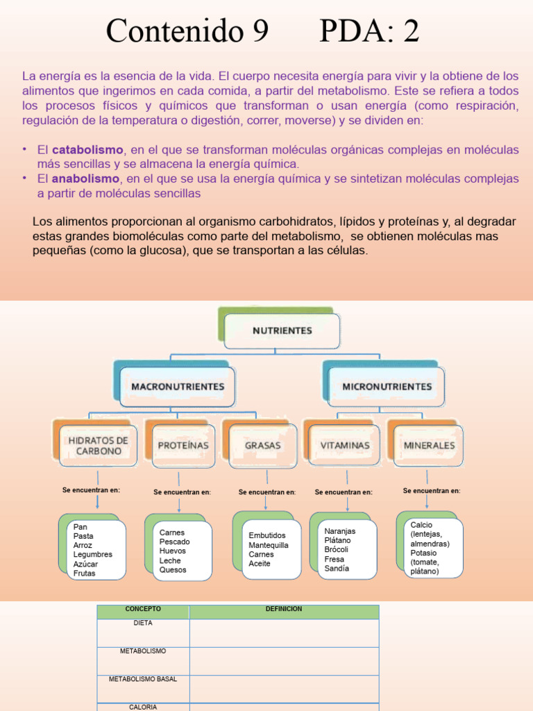 Contenido 9 PDA 2 | PDF | Metabolismo | Carbohidratos