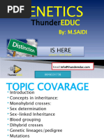 Grade 12 Notes Genetics 2025 | PDF | Dominance (Genetics) | Genotype