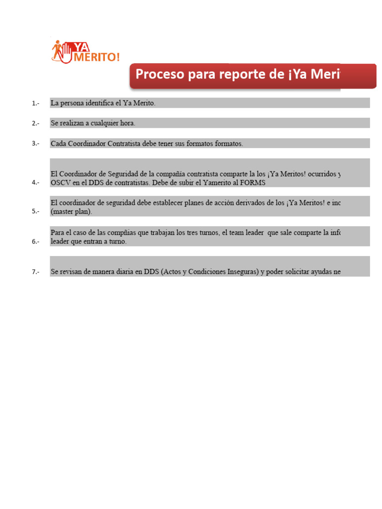 Formato Ya Merito | PDF