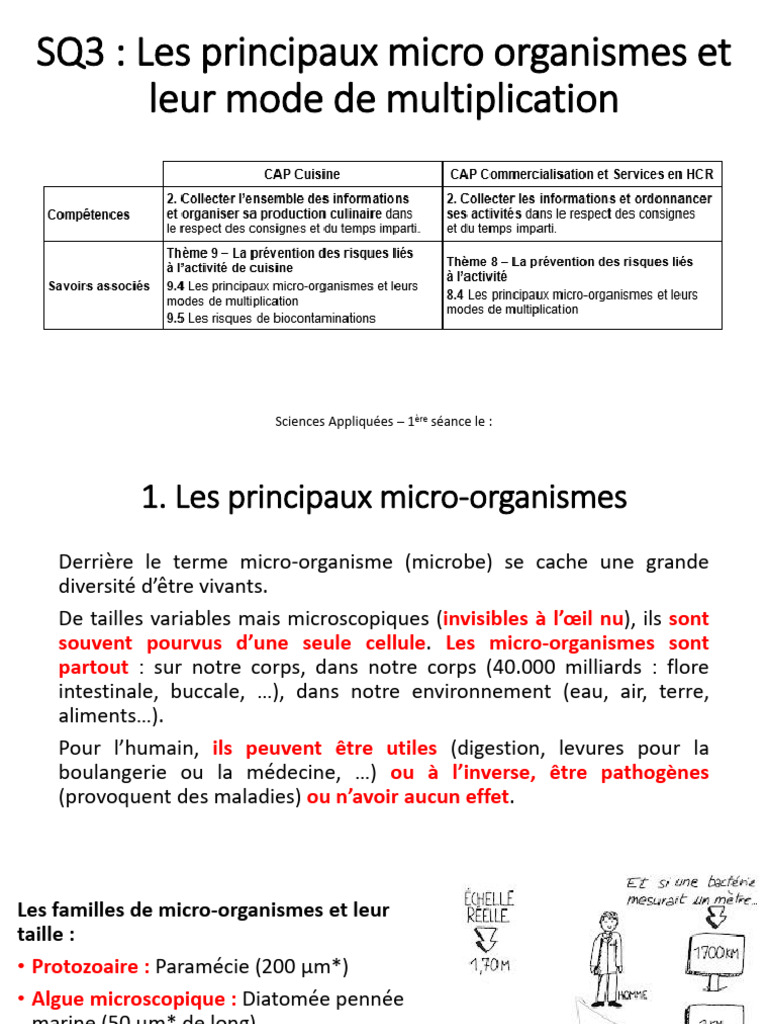SQ3) Les Principaux Micro Organismes Et Leur Mode de Multiplication ...