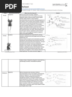 Mouse Party Worksheet | PDF | Dopamine | Neurotransmitter