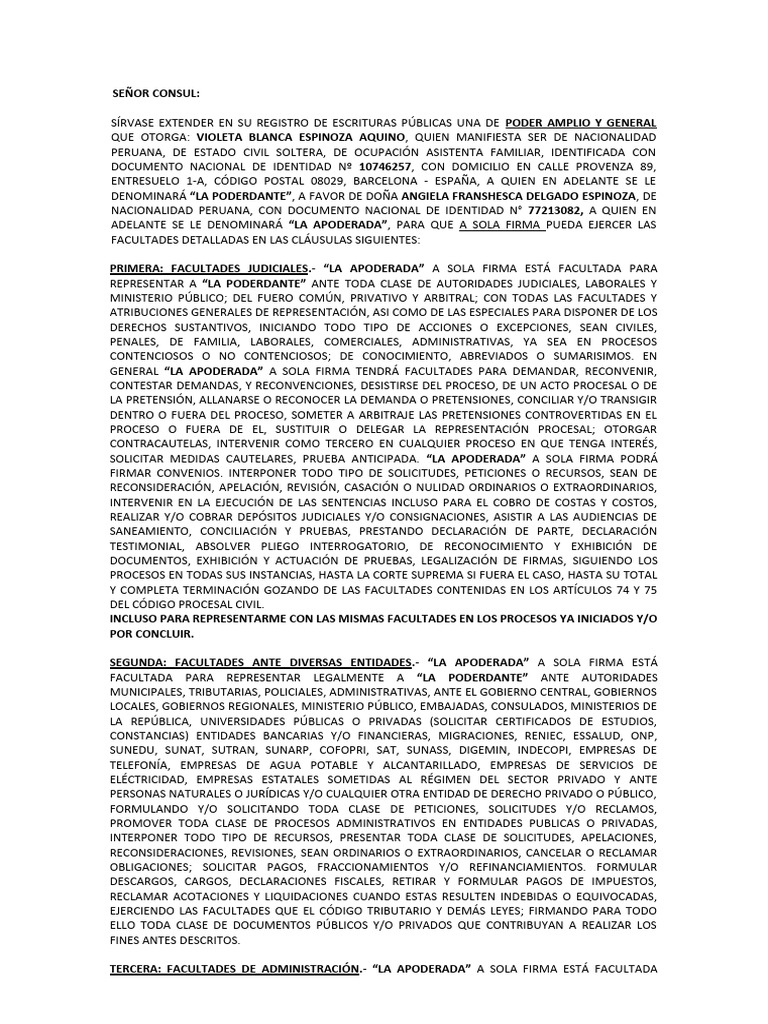 Minuta de Poder Amplio General Violeta Blanca Espinoza Aquino | PDF ...