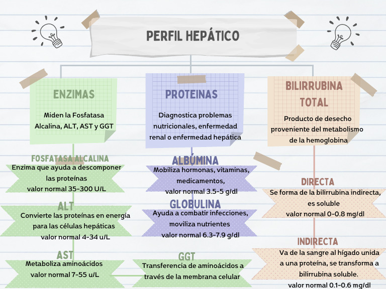 Perfil Hepático: Enzimas y Diagnóstico | PDF