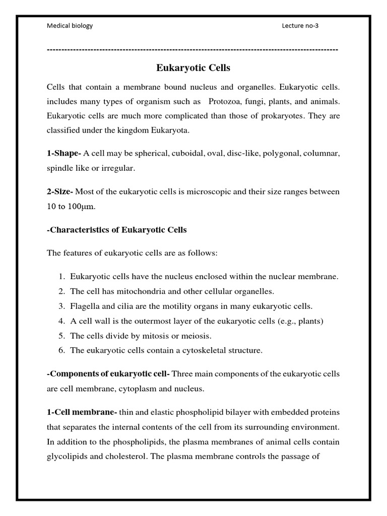 3-Eukaryotic cell | PDF | Cell Membrane | Cell (Biology)