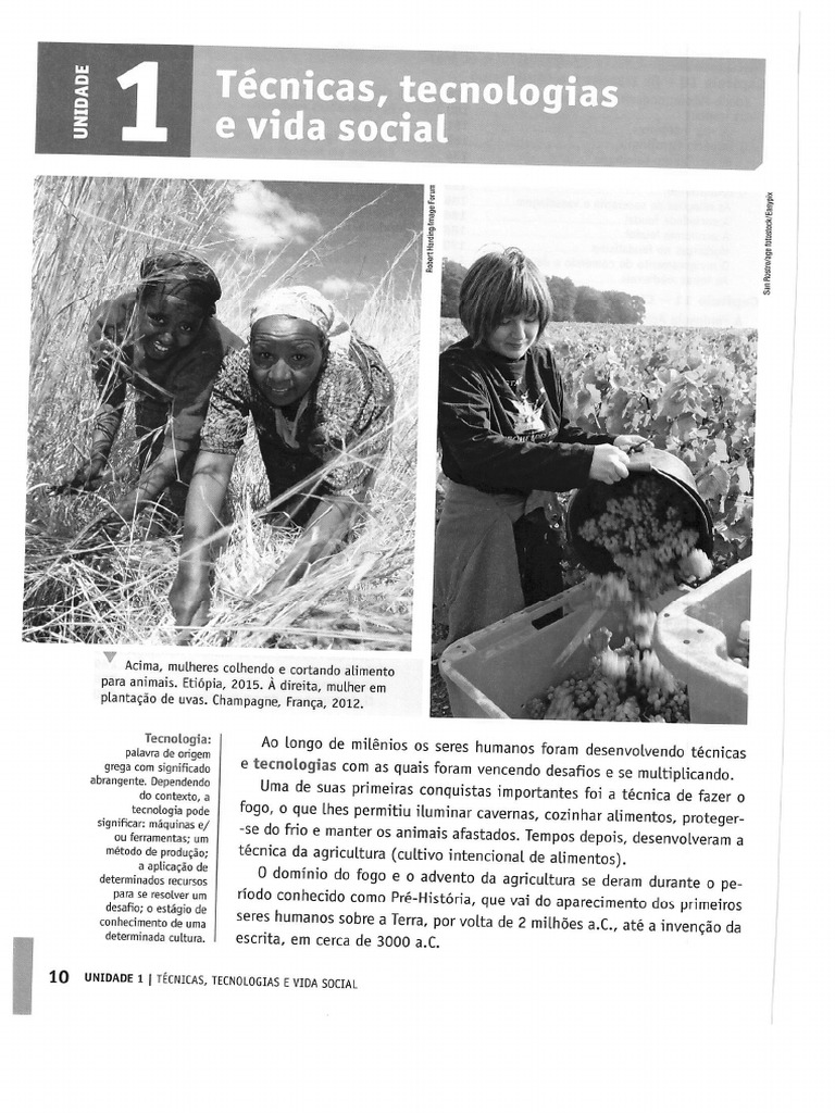 Conteudo Prova 1 Ano | PDF