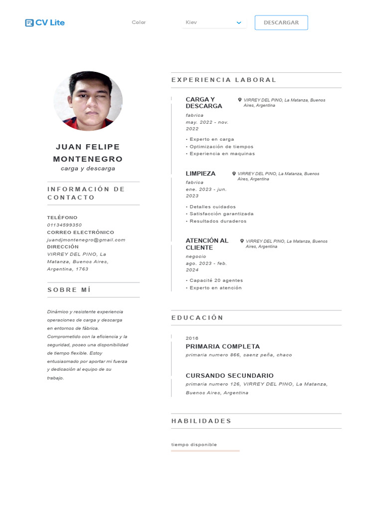 CV Lite: Juan Felipe Montenegro | PDF