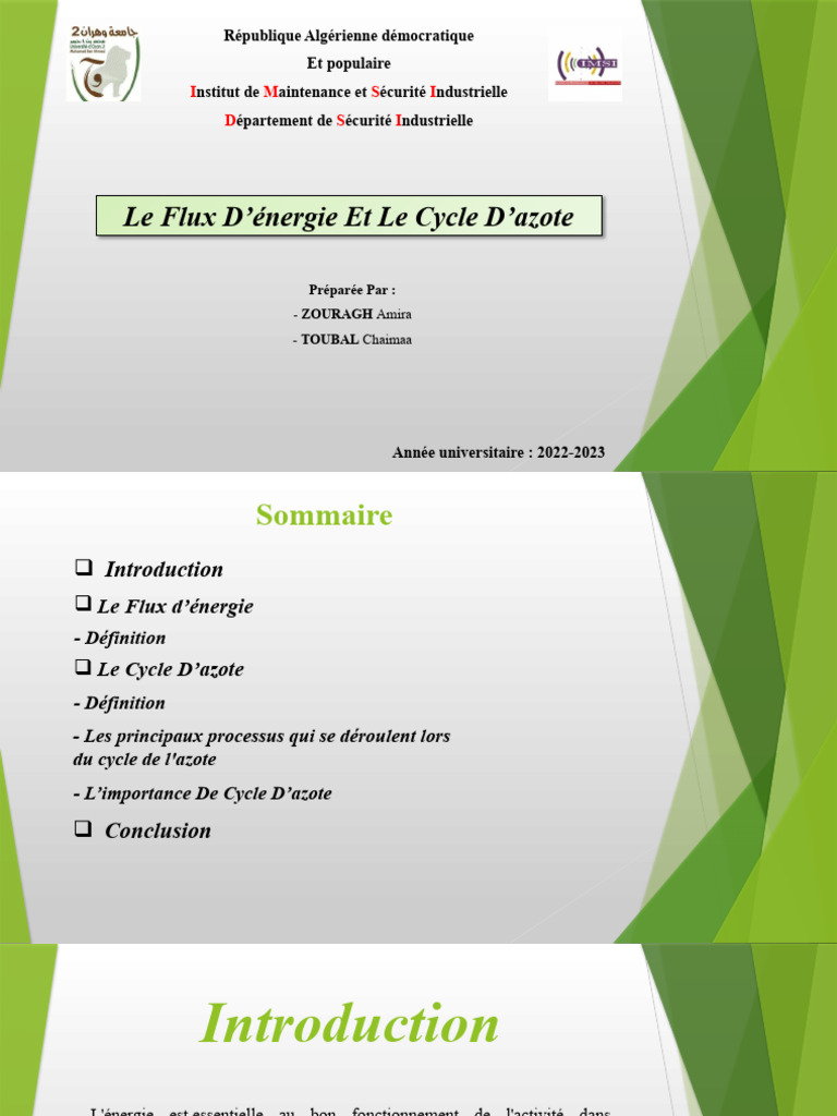 Cycle D'azote | PDF | Nitrogène | La nature