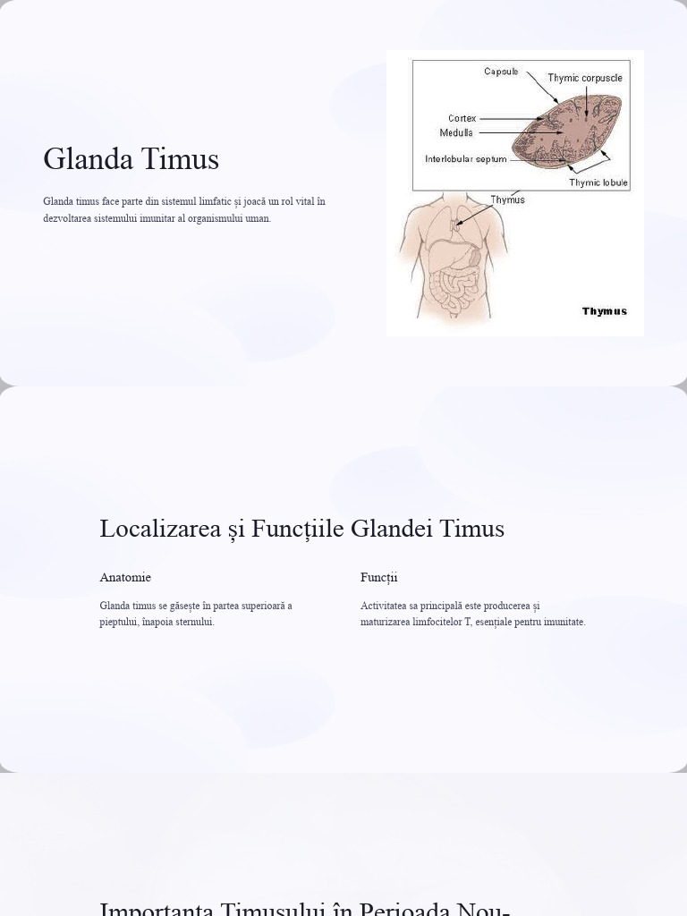 Galanda Timus | PDF