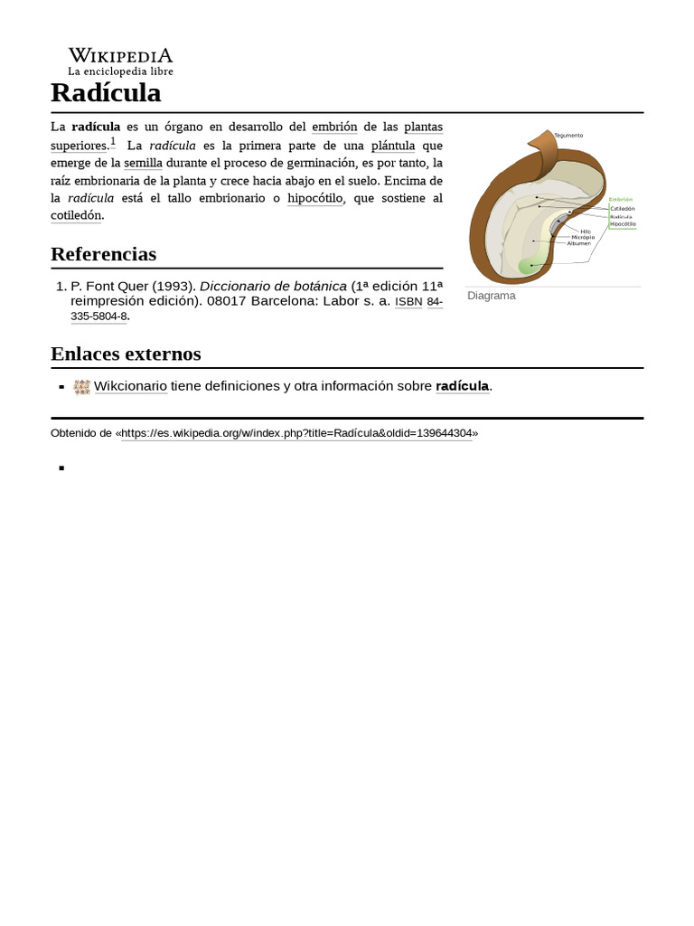 Radícula: Raíz embrionaria de plantas | PDF | Ciencia y matemáticas