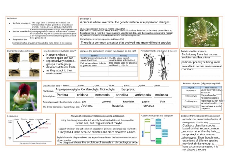 Bio Homework About Evolution | PDF | Evolution | Species