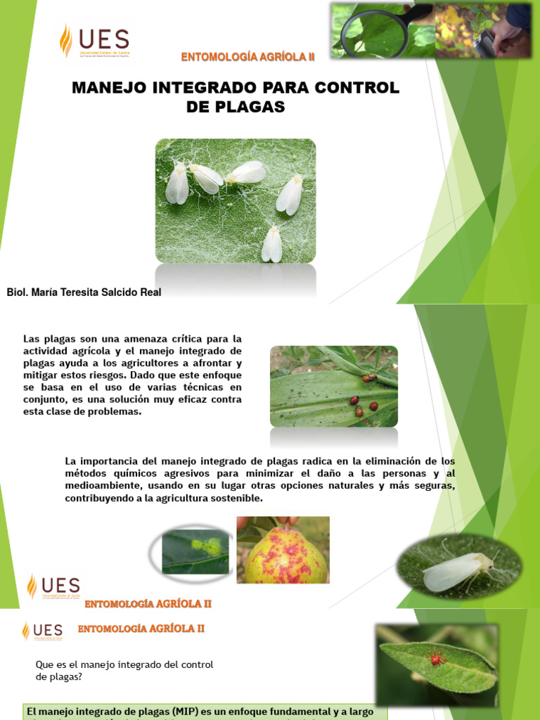 Clase 2 Tercer Elemento Manejo Integrado de Plagas | Descargar gratis PDF | Plaga (organismo ...
