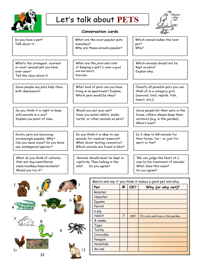 Pets Questions | PDF | Pet | Animal Welfare