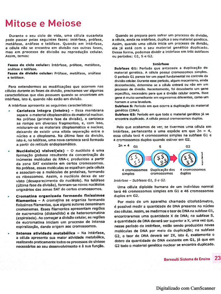 Mitose e Meiose | PDF
