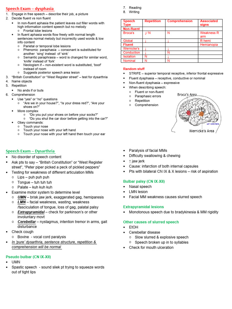 Speech exam | PDF | Nervous System | Neurology