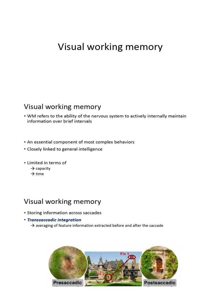 Visual Working Memory | Download Free PDF | Working Memory | Uncertainty