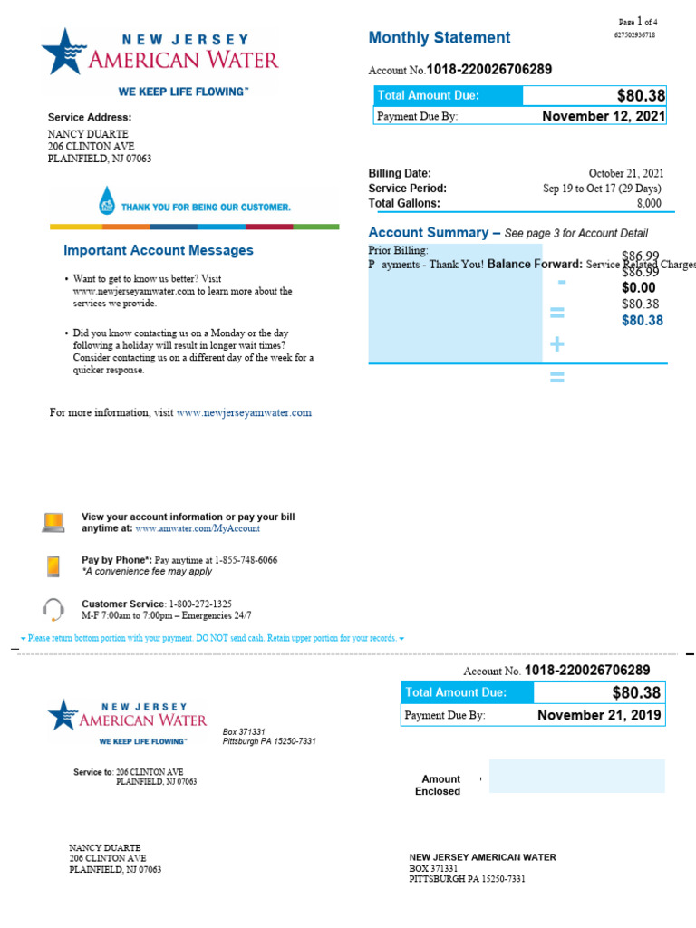 Important Account Messages Account Summary Monthly Statement | PDF ...