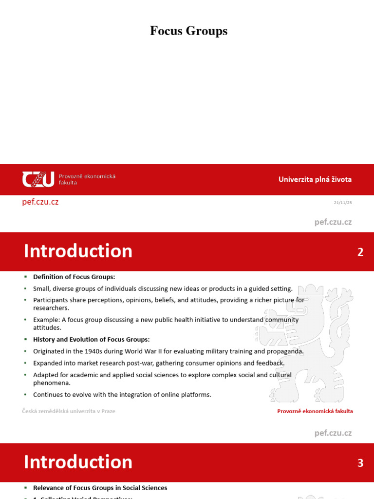 Focus Groups | Download Free PDF | Focus Group | Nonverbal Communication