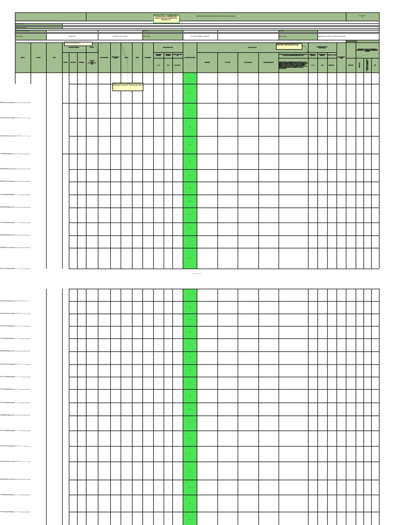 Miper Formato | PDF | Radiación | Quemar