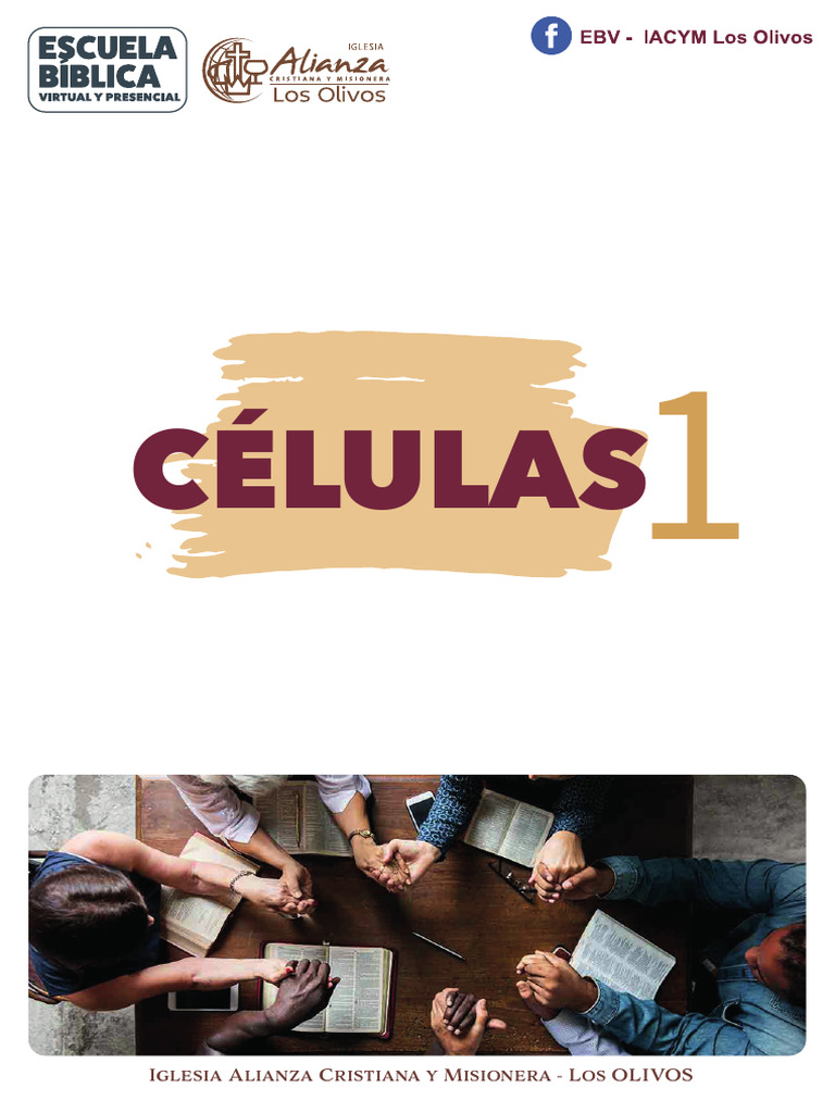 Células 1 | PDF | Oración | Jesús