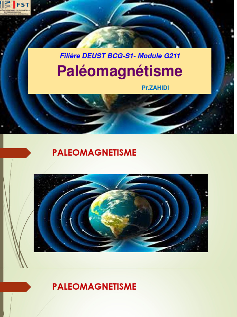 Étude du Paléomagnétisme Terrestre | PDF | Champ magnétique de la Terre ...