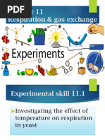 Meeks Method | PDF | Pelvis | Human Leg