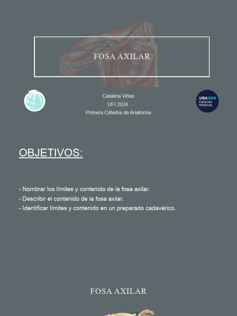 FOSA AXILAR Viñas | PDF | Ciencias sociales