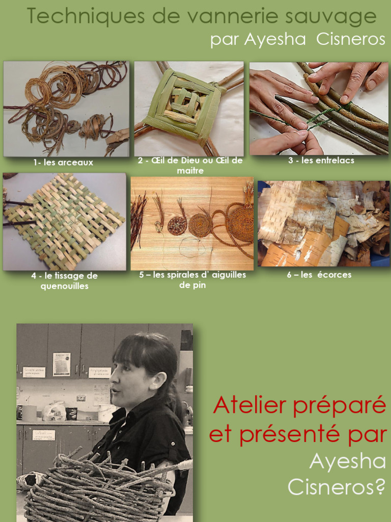 Techniques de Vannerie Sauvage | PDF | Tissage de panier | Pin (plante)