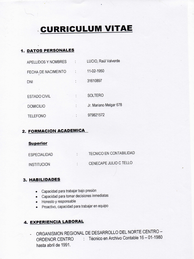 cv raul valverde | PDF