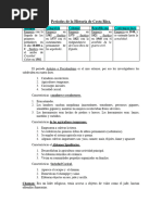 Cultura y Tradiciones de los Chorotegas | PDF | Costa Rica