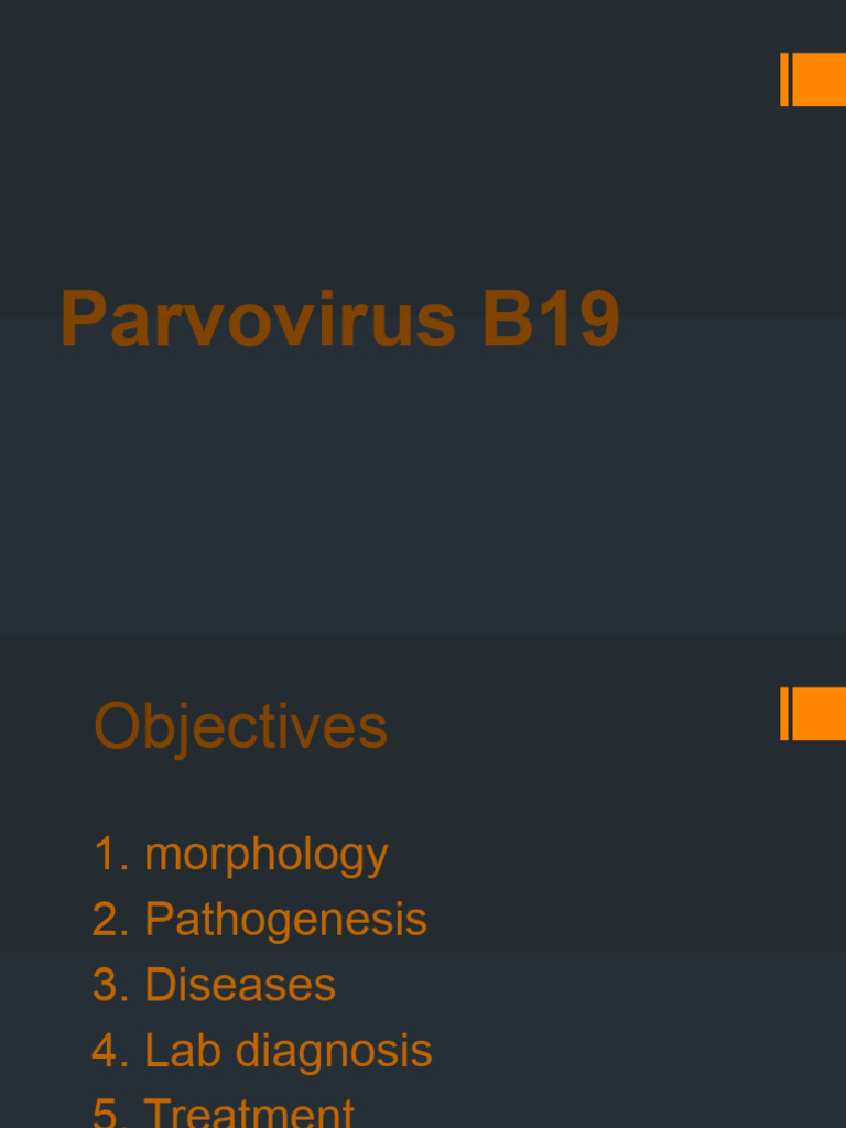 Parvovirus B19 | Download Free PDF | Immunology | Medicine