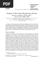 Cattle Respiratory System Overview | PDF | Lung | Respiratory Tract