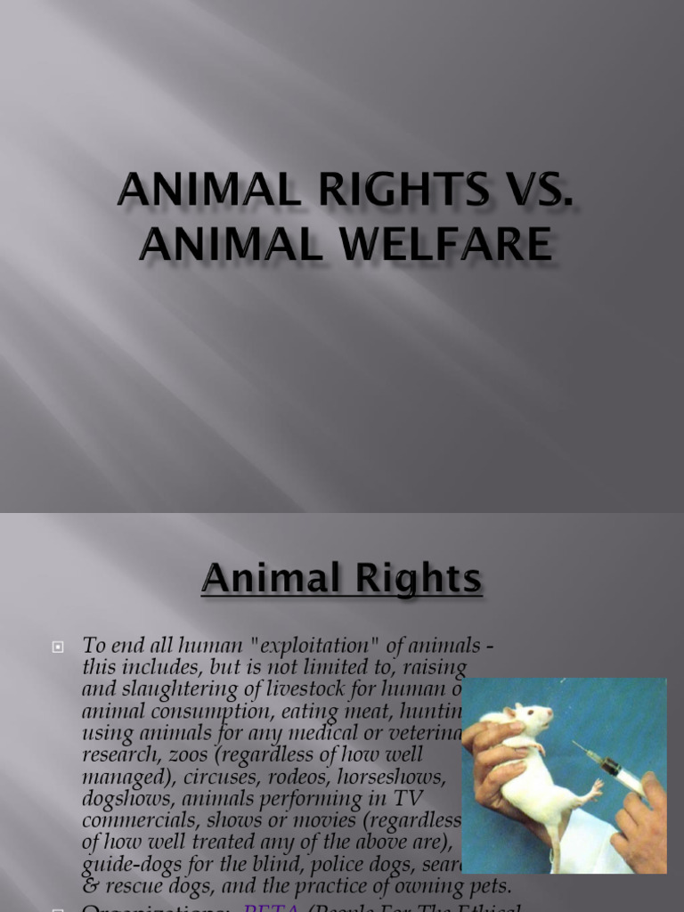 Animal Rights vs Animal Welfare | PDF | Animals And Humans | Animal Welfare