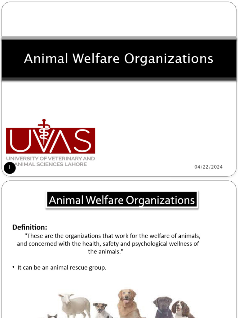 Global SPCA Organizations Overview | PDF | Animal Welfare | Animals And ...
