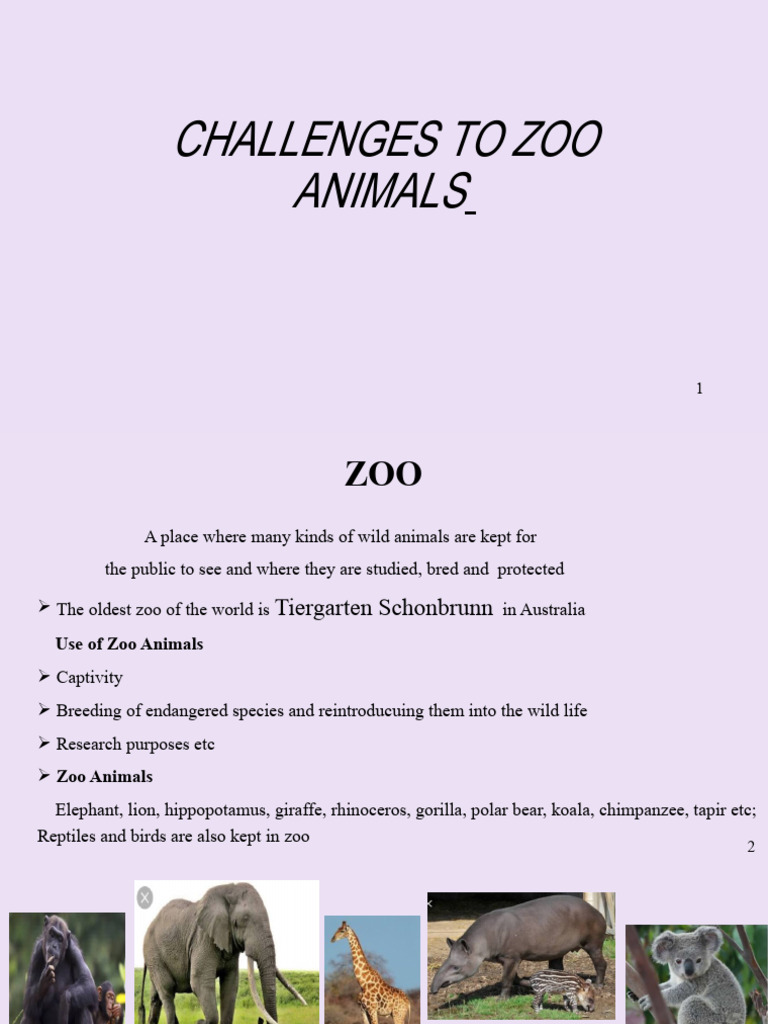 Challenges to Zoo Animals | PDF | Zoo | Zoology